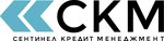 Sentinel (Krasnaya Presnya Street No:24), tahsilat firmaları  Moskova'dan