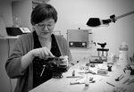 Horlogerie Lisette (Vonkstraat No:23, Amstenrade), saat tamircileri  Limburg'dan