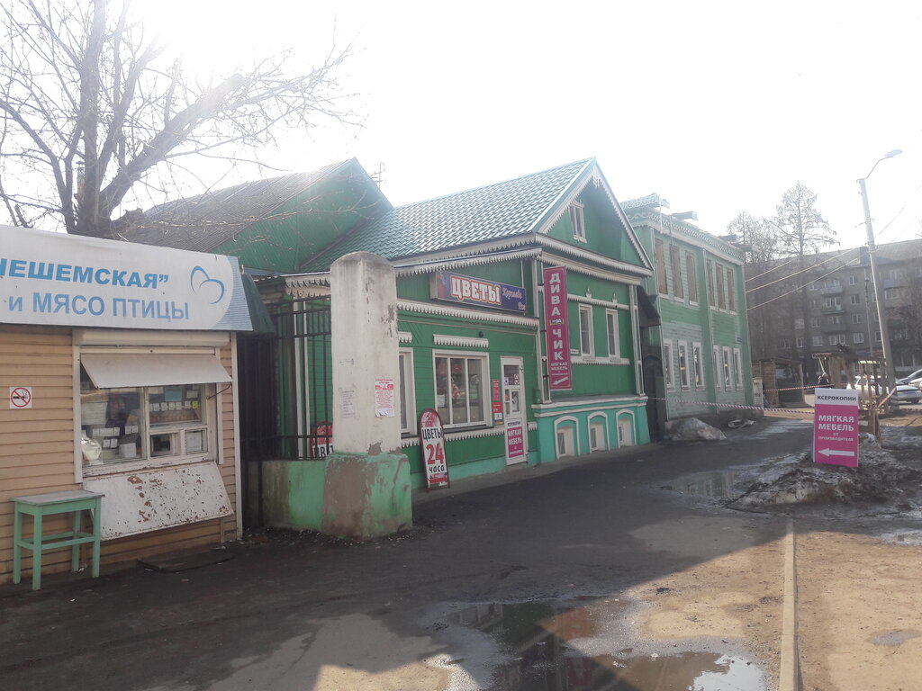 Kanatlı hayvan ürünleri ve yumurta Яйцо и мясо птицы, Kineşma, foto