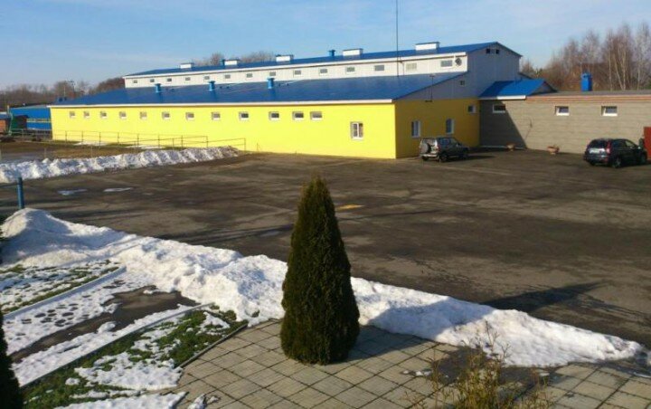 At ve binicilik kulüpleri Ksk Vzlet, Moskova ve Moskovskaya oblastı, foto
