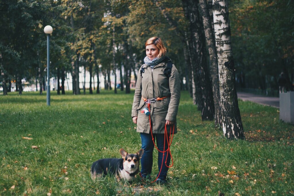 Ev hizmetleri Собака-гуляка, Moskova, foto