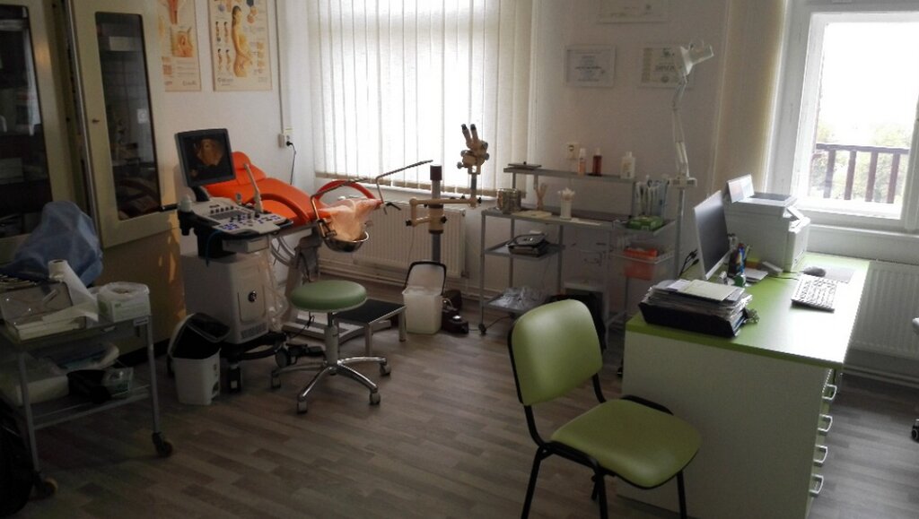 Kadın hastalıkları ve doğum dispanserleri Gynekologie Miklica, S. R. O., Brno, foto