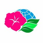 World Of Flowers (ulitsa imeni N.G. Chernyshevskogo No:203), çiçek teslimatı  Saratov'dan