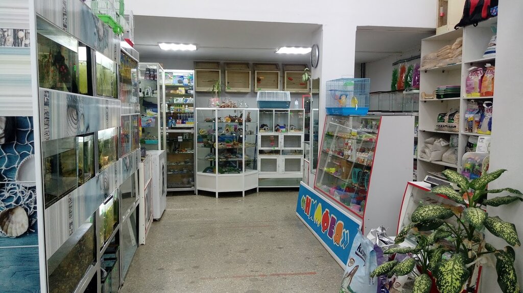 Petshop Зоотовары, Magnitogorsk, foto