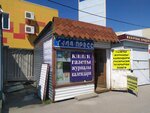 Тула-пресс (Pirogova Street No:15А), gazete bayi  Tula'dan