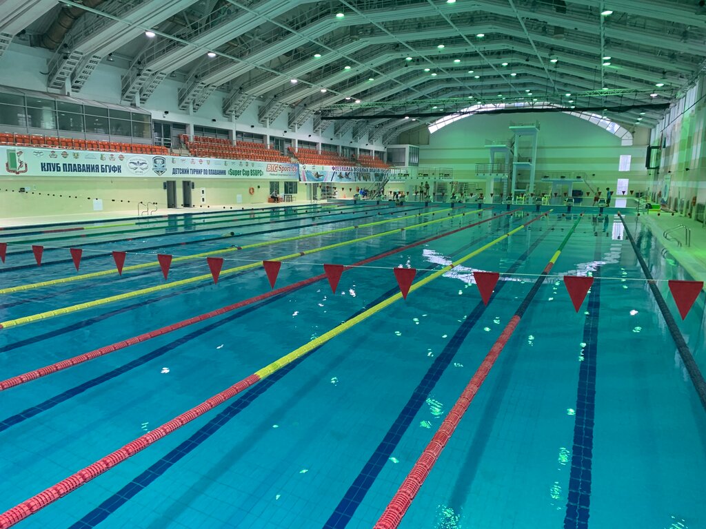 Yüzme havuzları DodoSwim, Minsk, foto