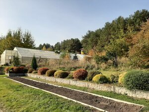 Kazan Federal Üniversitesi Botanik Parkı (Republic of Tatarstan, City of Kazan, ulitsa Zirekle), meydan  Kazan'dan