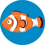 Nemo (ulitsa Truda No:17А, Kolpino), petshop  Kolpino'dan