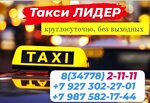 Такси Лидер (Tsentralnaya Street No:1, selo Verkhniye Tatyshly), taksi  Başkurdistan'dan