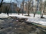 Sports ground (Pobratimov Street No:20), spor alanı  Liubertsy'den