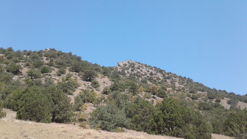 Dağ zirvesi Гора Тильки-Кая, Kırım Cumhuriyeti, foto