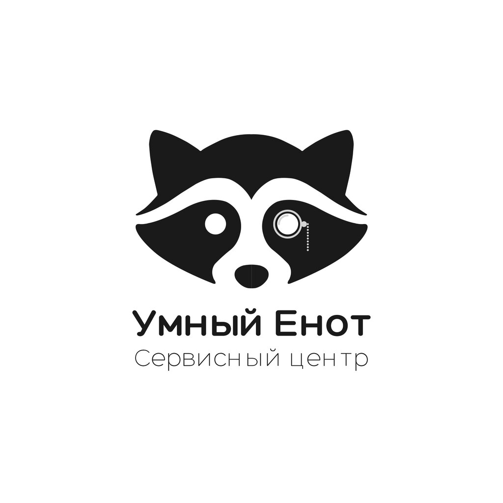 Telefon tamir servisi Smart Raccoon, Moskova ve Moskovskaya oblastı, foto