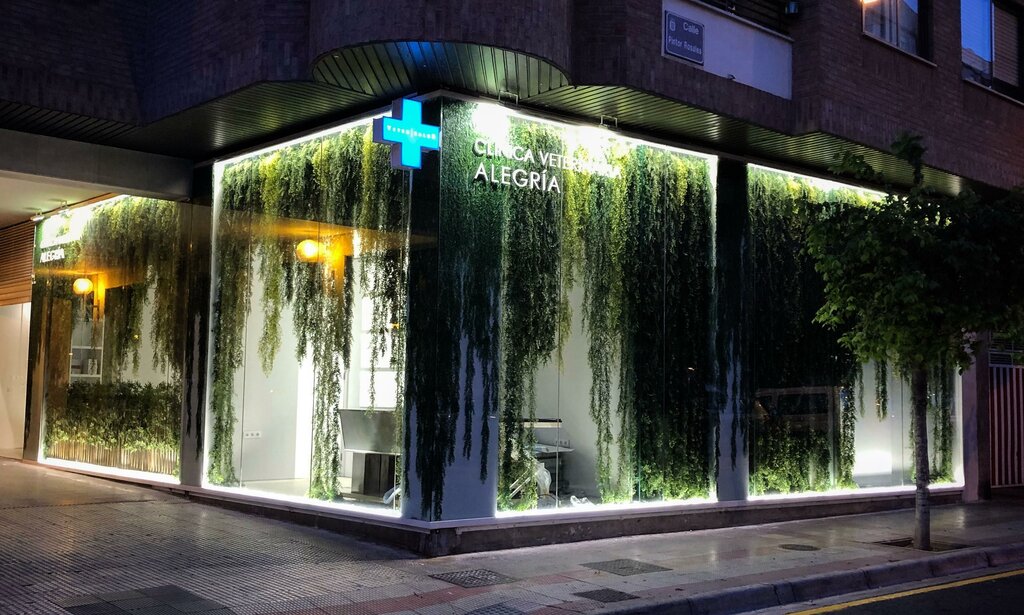 Veteriner klinikleri Clínica Veterinaria Vetersalud Alegría, Logrono, foto