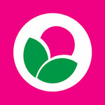 Base Flowers (Traktovaya Street No:2Г), çiçek teslimatı  Neftekamsk'tan