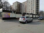 Цветы (Voronezh Region, Novovoronezh, Kosmonavtov Street), çiçekçiler  Novovoronej'den