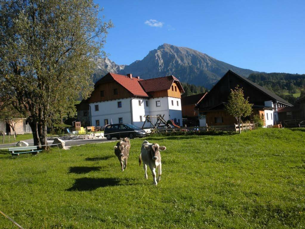 Otel Ferienhof Dansbach, Yukarı Avusturya, foto