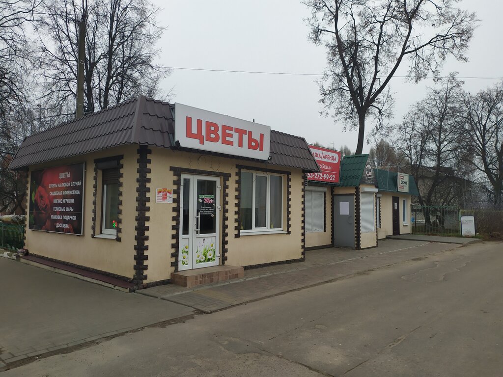 Çiçekçiler Цветочный микс, Novozybkov, foto