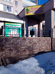 Хмельной край (Molodyozhnaya Street No:7), bira dükkanı  Alabuğa'dan