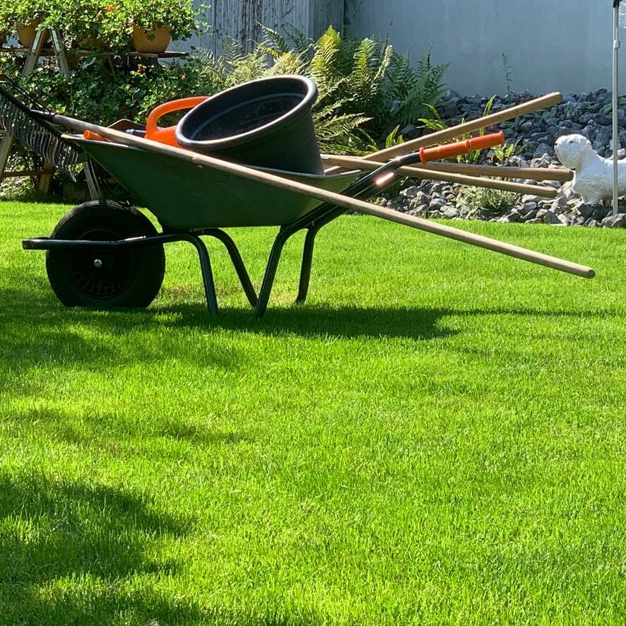 Peyzaj tasarımı Gartenpflege Leiser, Aargau, foto