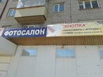 Фотосалон (ulitsa Svobody No:80), fotokopi dükkanları  Artiomovski'den