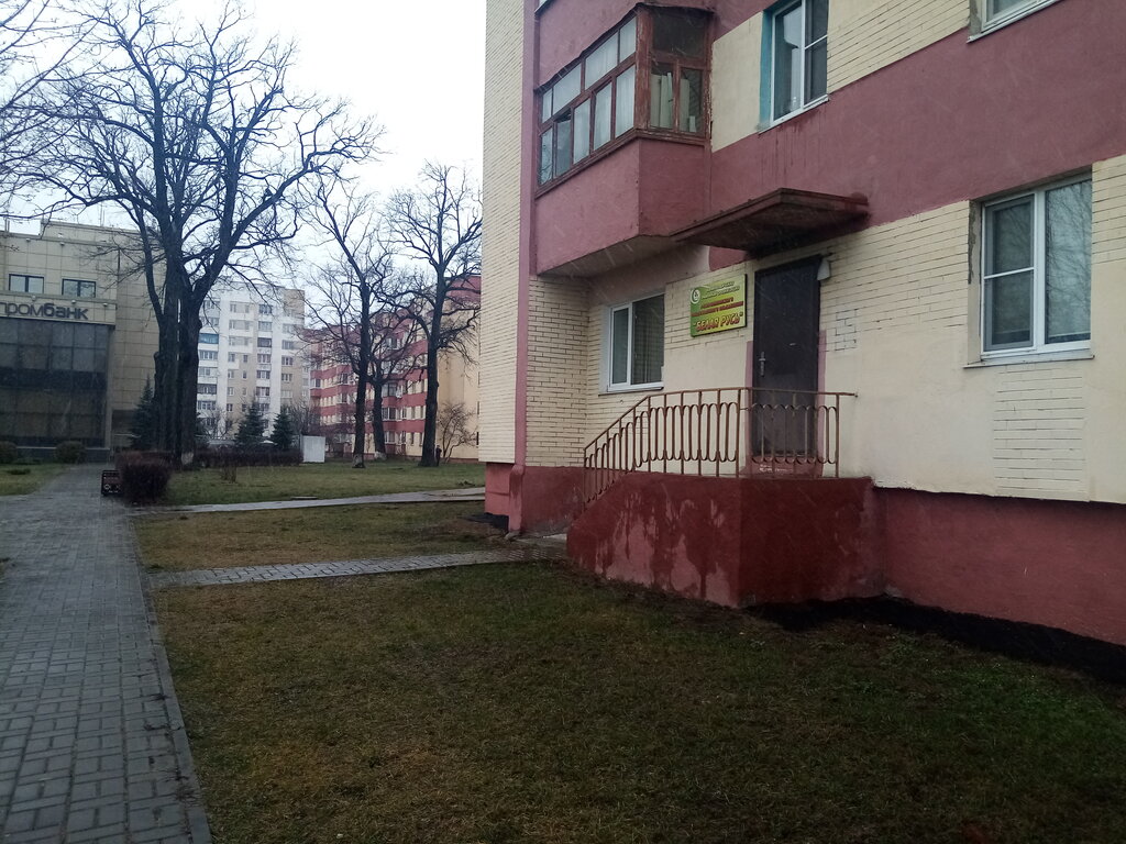 Sivil toplum kuruluşları Belaya Rus Roo Kalinkovichskaya Rayonnaya Organizatsiya, Kalinoviçi, foto