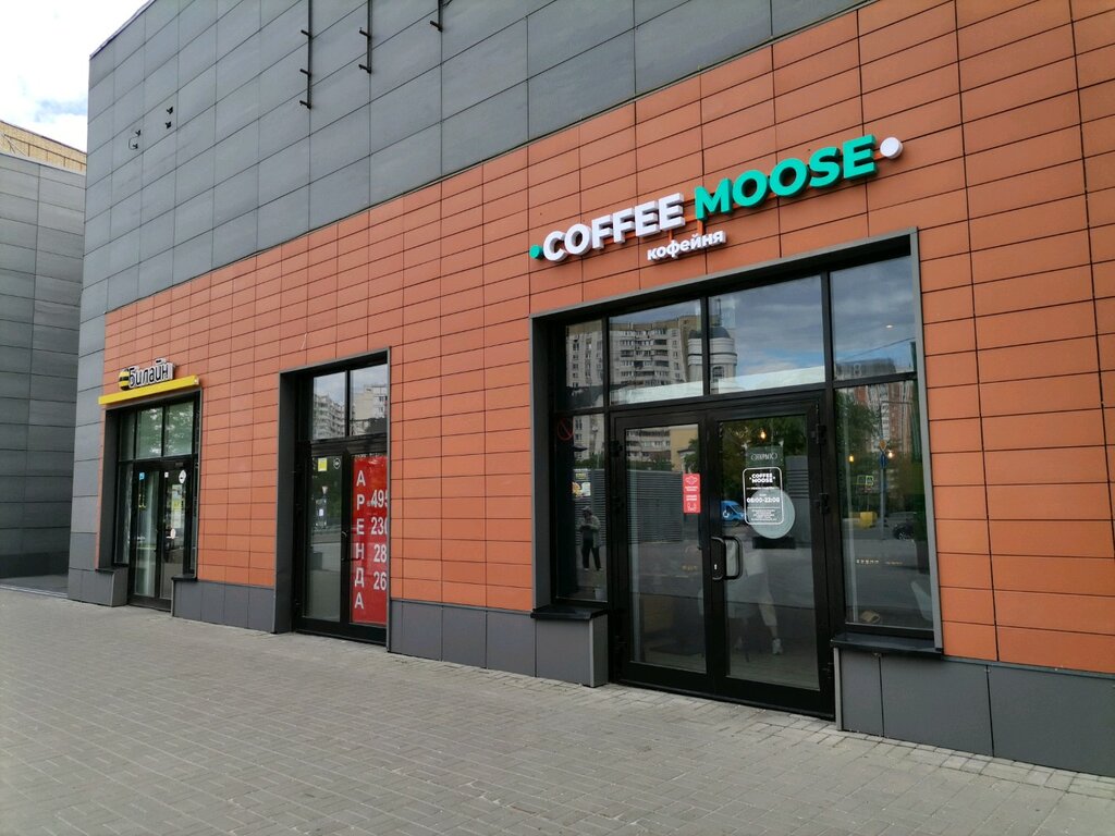 Kahve dükkanları Coffee Moose, Moskova, foto
