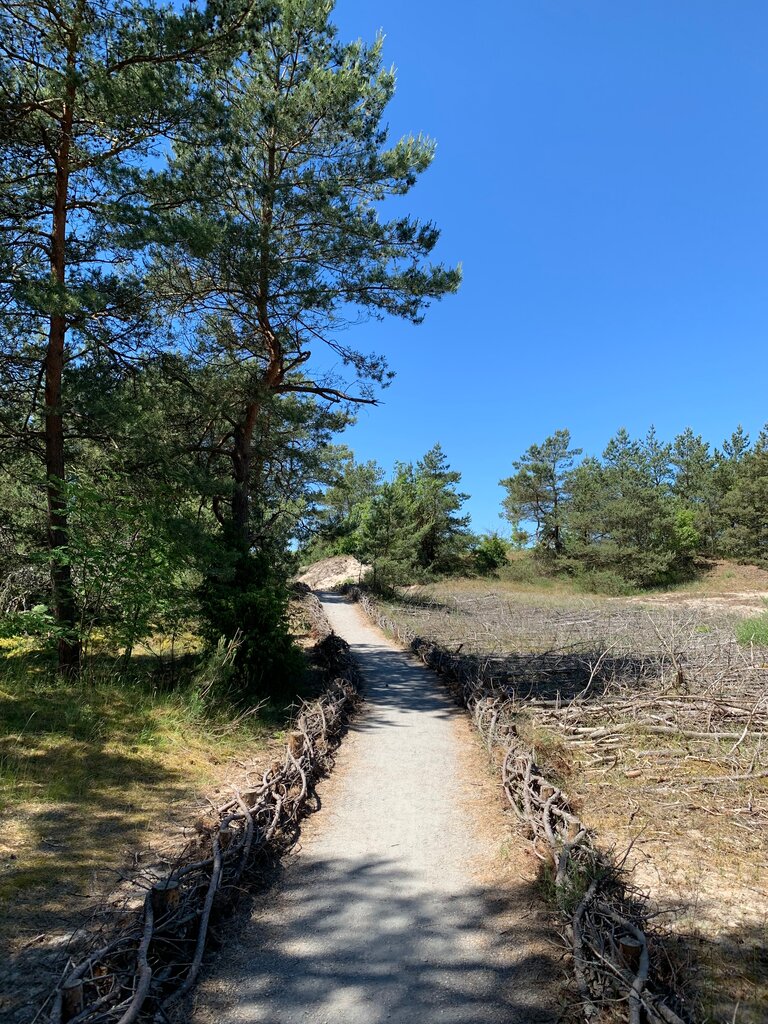 Nida nudist beach, beach, Klaipeda County, Neringa, Nida — Yandex Maps