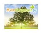 ZhiviNaturalno.ru (Petropavlovskaya Street No:8), market  Saint‑Petersburg'dan