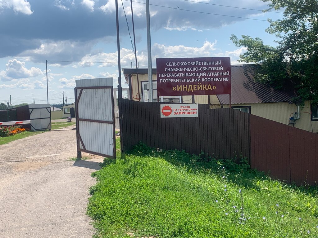 Kasap, şarküteri Мясная лавка, Tataristan, foto