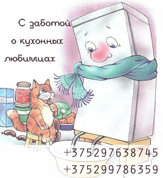 Beyaz eşya servisleri Refrigerator repair, Grodno, foto