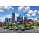 Alpha Wildlife Nashville (Tennessee, Davidson County, Nashville), haşere ilaçlama firmaları  Nashville'den