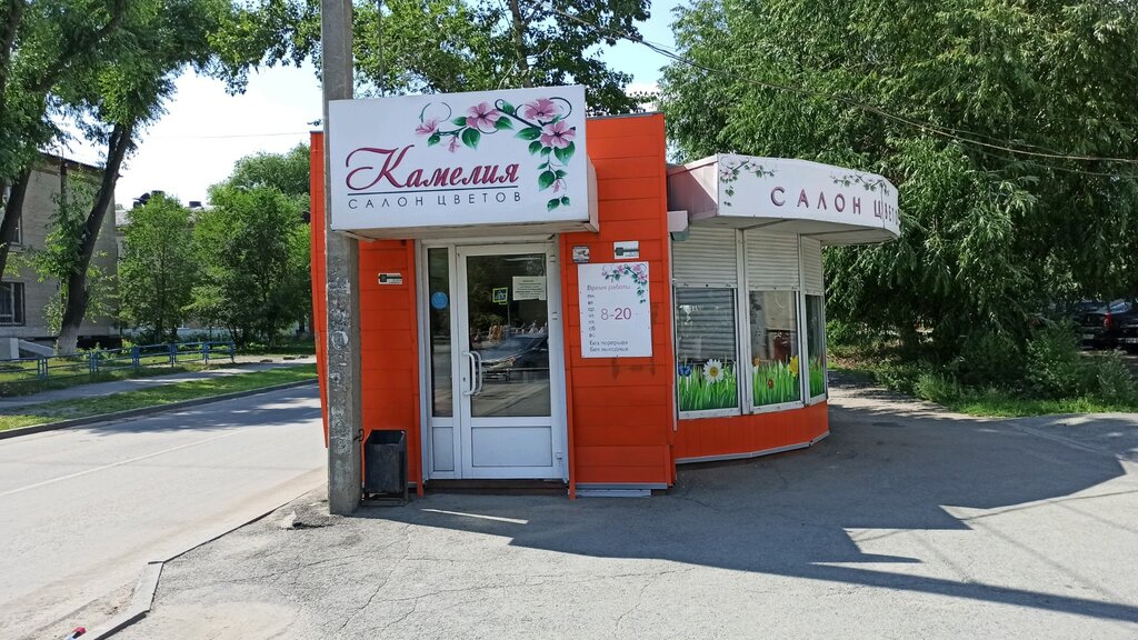 Çiçek teslimatı Kameliya, Çeliabinsk, foto