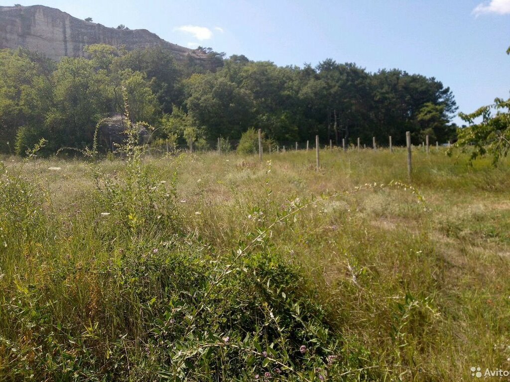 Bahçe Черешневые сады, Kırım Cumhuriyeti, foto