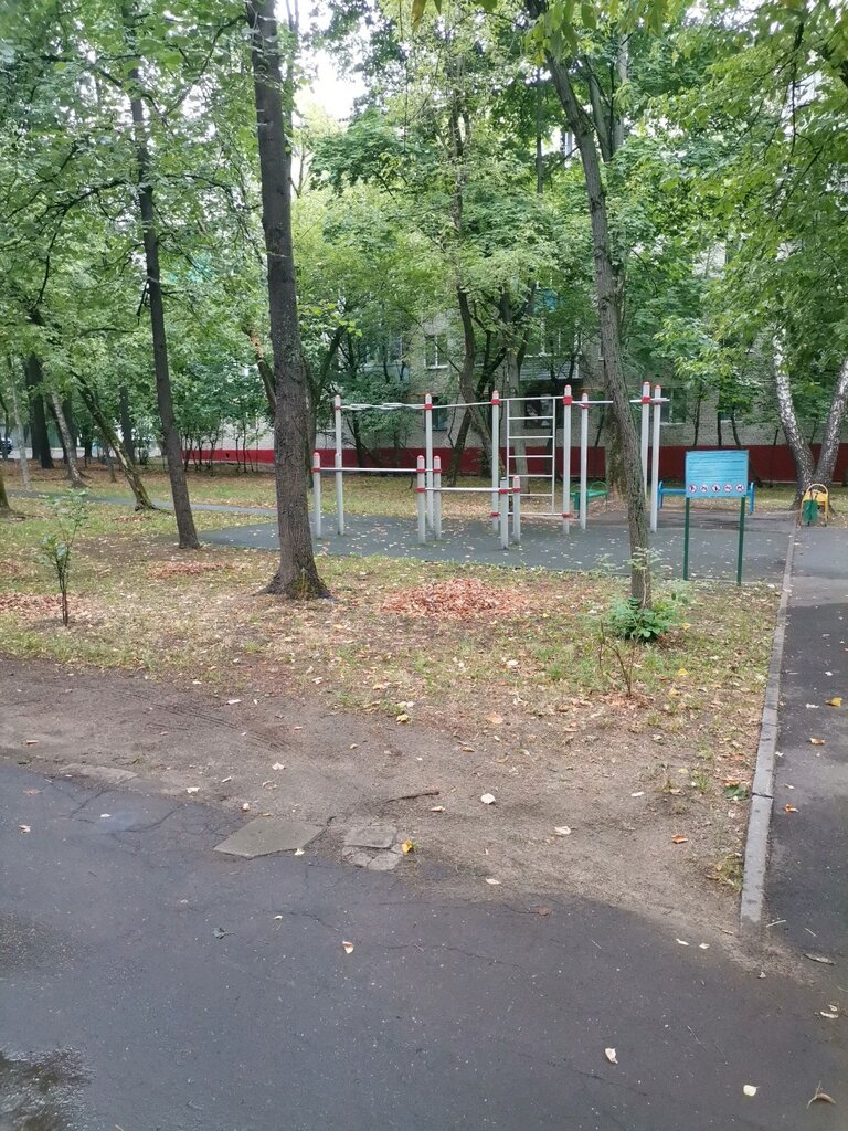 Spor alanı Спортивная площадка, Moskova, foto