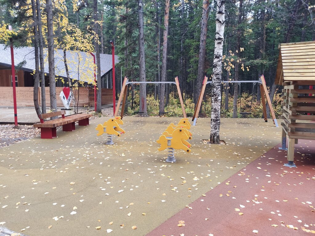 Oyun alanı Playground, Lensk, foto