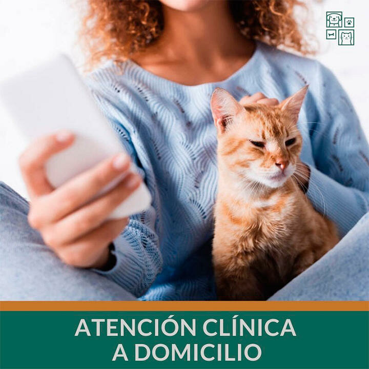 Veteriner klinikleri Veterinarias de las Cabañas, , foto