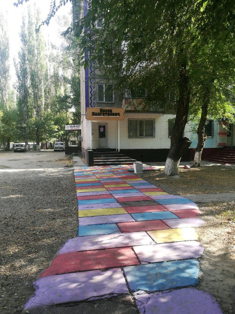 Çorap ve külotlu çorap mağazaları Nosok Kolgotkovich, Taraz, foto