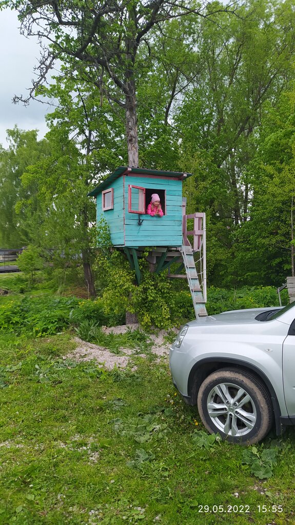 Yaz kampı Suvorovskaya nit, detsky ozdorovitelny lager Suvorovskaya nit, Tulskaya oblastı, foto