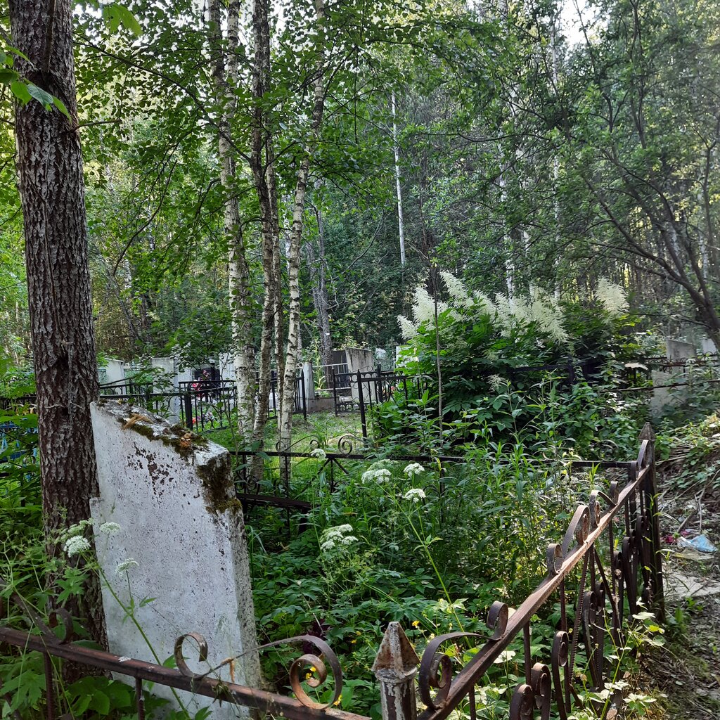 Mezarlıklar Старое городское кладбище, Yaroslavskaya oblastı, foto