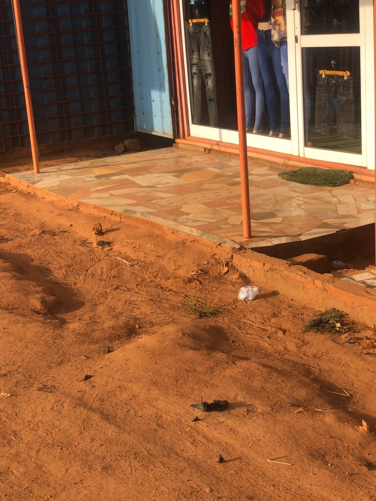 Alkolsüz içecekler Shop, Dünya, foto