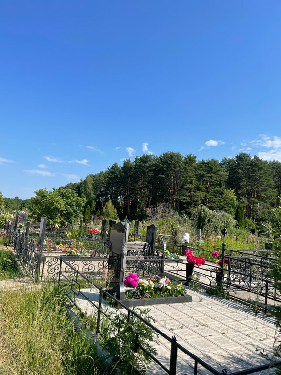 Mezarlıklar Новое кладбище, Vladimirskaya oblastı, foto
