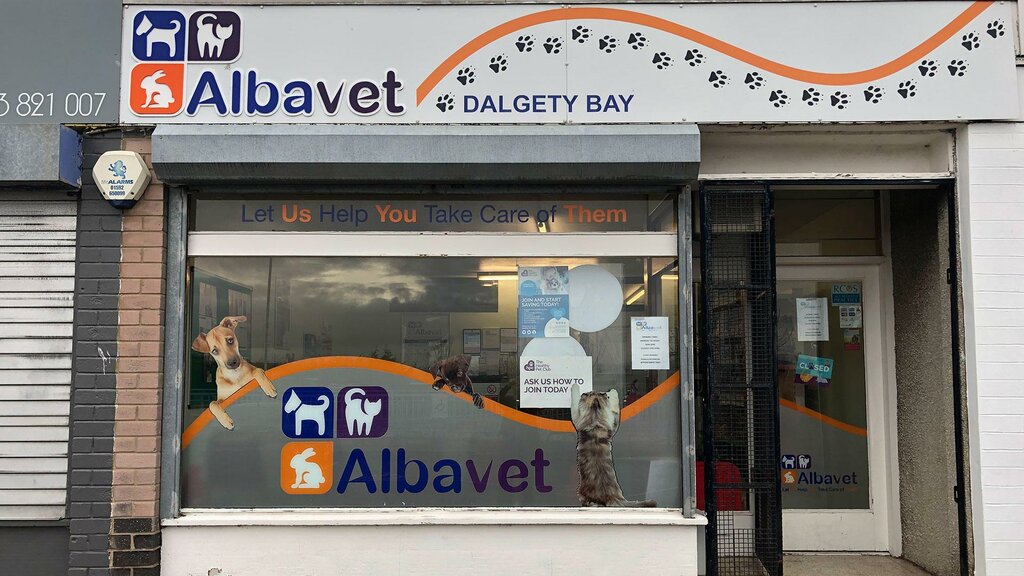 Veteriner klinikleri Albavet Veterinary Surgeons - Dalgety Bay, Fife Konseyi, foto