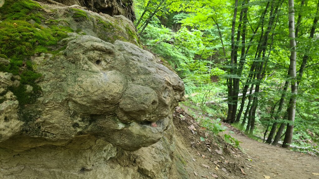 Doğa Камень Голова льва, Kislovodsk, foto