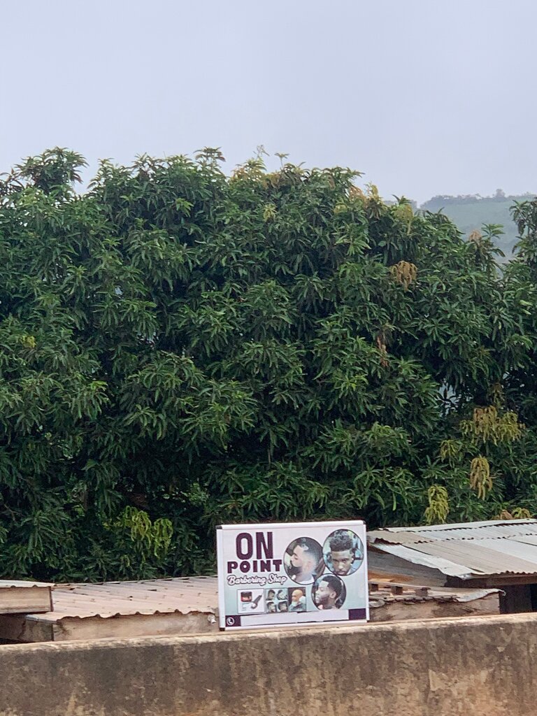 Berberler OnPoint, Dünya, foto