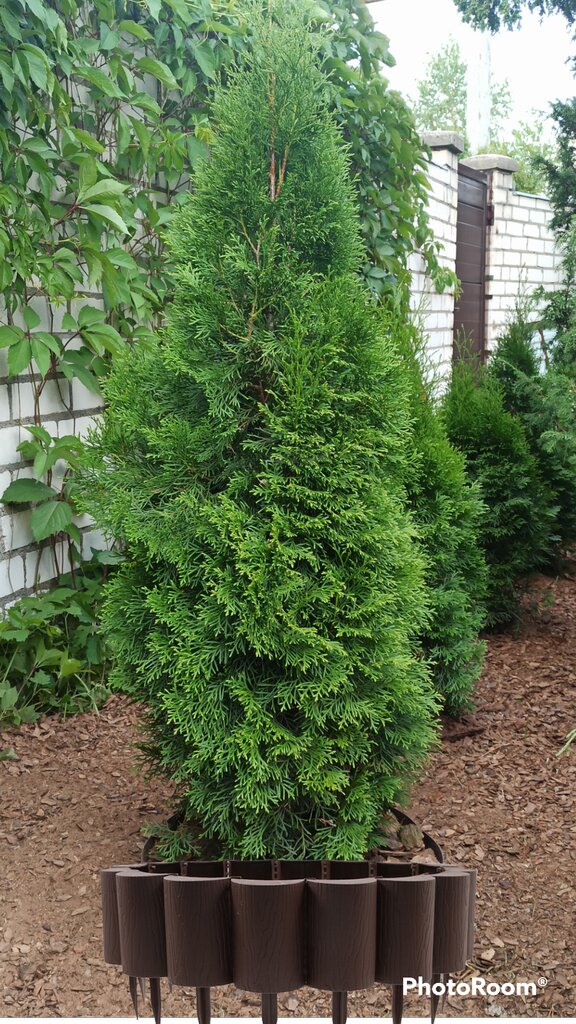 Yönetim ofisi Ecobio.by, Minsk, foto