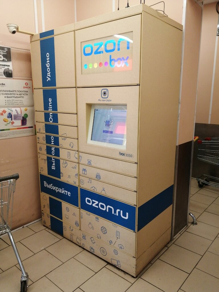 Kurye hizmetleri Ozon, Saint‑Petersburg, foto