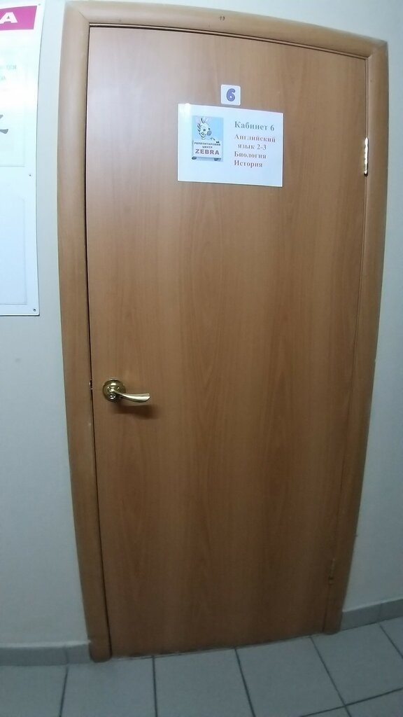 Özel ders hizmetleri Zebra, Ulan‑Ude, foto