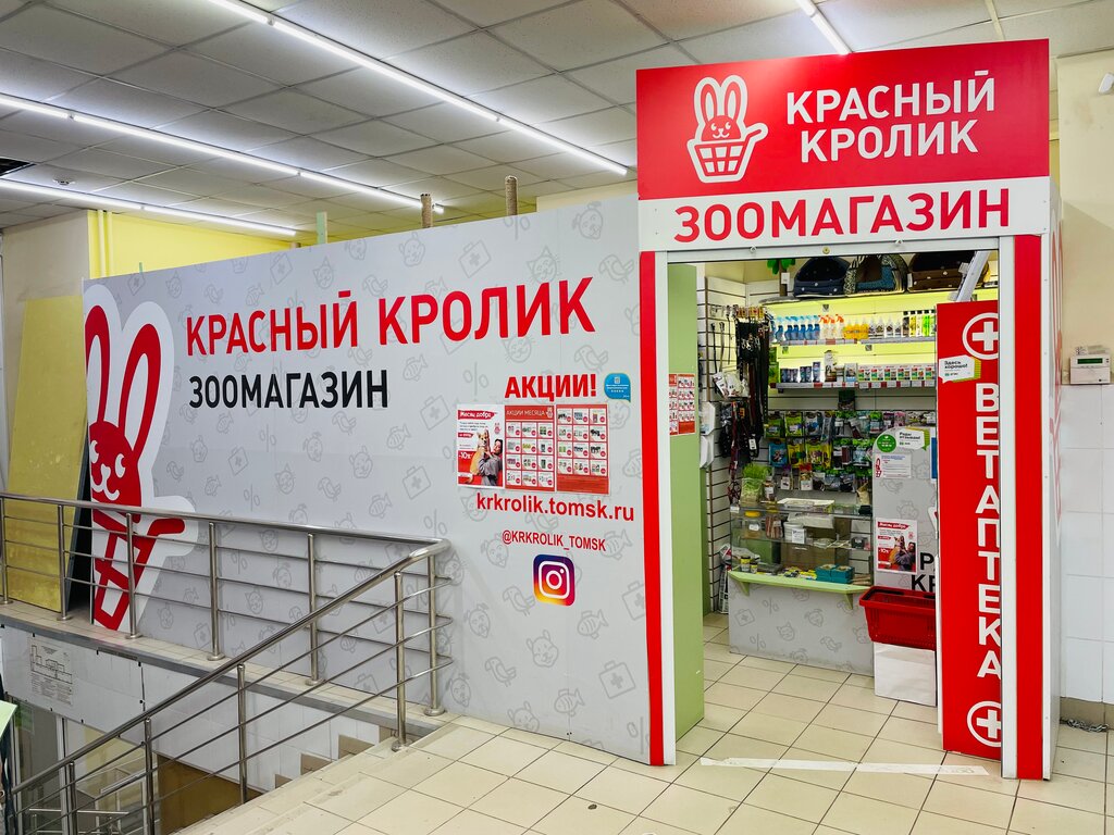 Petshop Krasniy Krolik, Tomsk, foto
