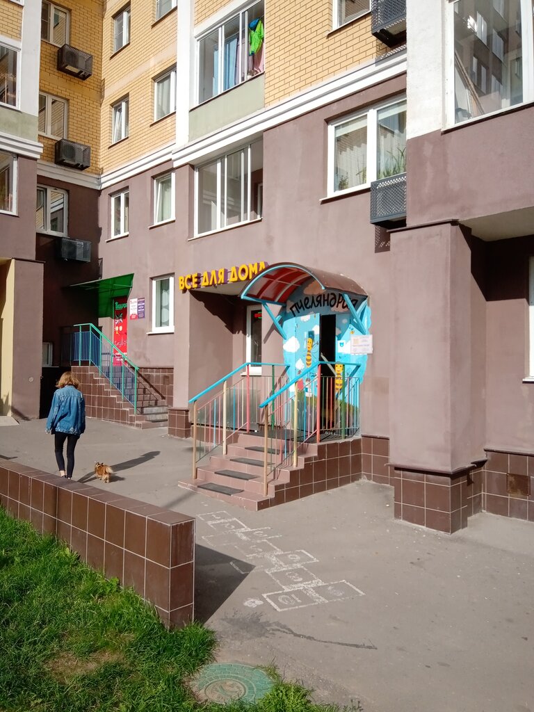 Çocuk gelişim merkezleri Pchelyandriya, Moskova ve Moskovskaya oblastı, foto