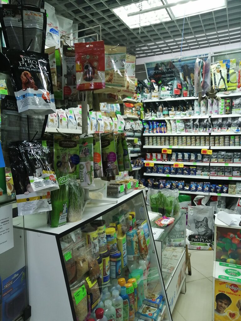 Petshop Zoodiak, Moskova, foto